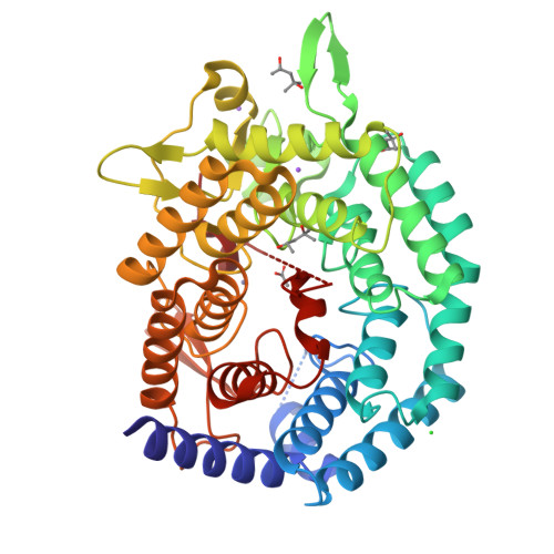RCSB PDB - 8BYK: The structure of MadC from Clostridium maddingley ...