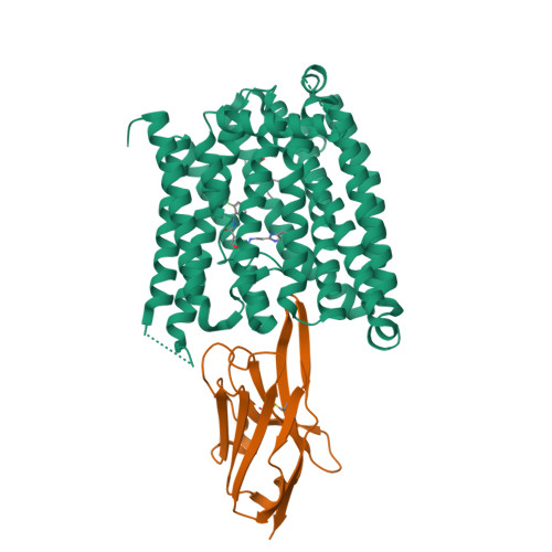 RCSB PDB - 8BZY: Structure of SLC40/ferroportin in complex with ...