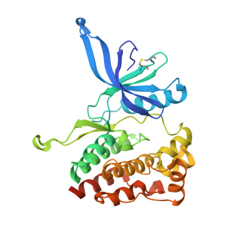 RCSB PDB - 8C09: Crystal structure of JAK2 JH2-I559F