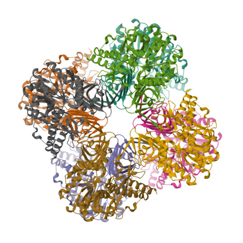 RCSB PDB - 8C0B: CryoEM structure of Aspergillus nidulans UTP-glucose-1 ...