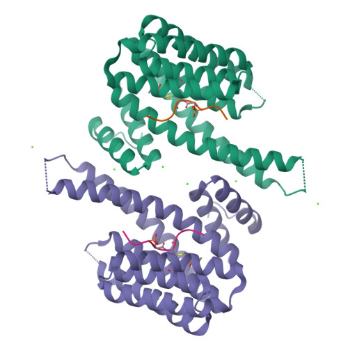 RCSB PDB - 8C2E: Structure of 14-3-3 sigma delta C with electrophilic ...