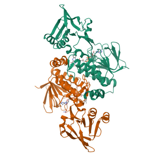 RCSB PDB - 8C3M: Crystal structure of ferredoxin/flavodoxin NADP+ ...