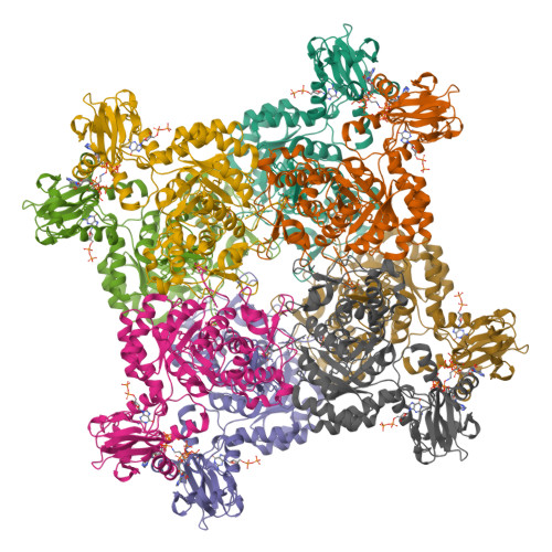 RCSB PDB - 8C51: Trypanosoma brucei IMP dehydrogenase (cyto ...