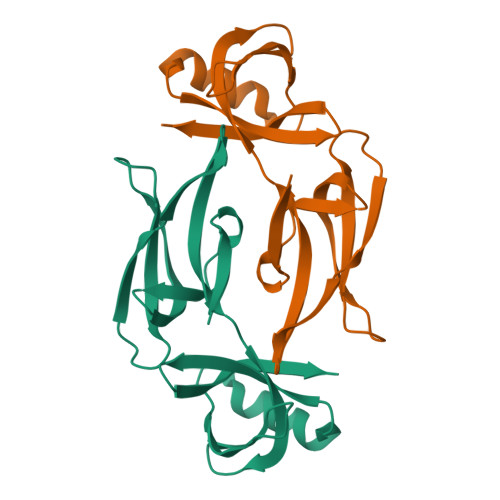 RCSB PDB - 8C5K: HEX-1 (in cellulo, in situ) crystallized and ...