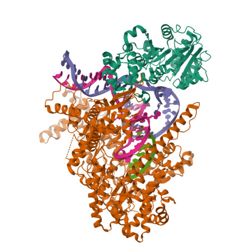 RCSB PDB - 8C5U: Cryo-EM structure of yeast mitochondrial RNA ...
