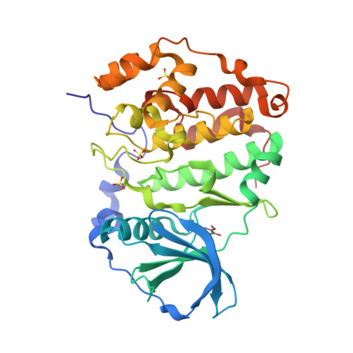 RCSB PDB - 8C6M: Human protein kinase CK2 alpha in complex with CK2-TN02