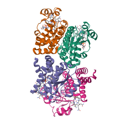RCSB PDB - 8C76: Light-state 2.5 Angstrom wild-type X-ray crystal ...