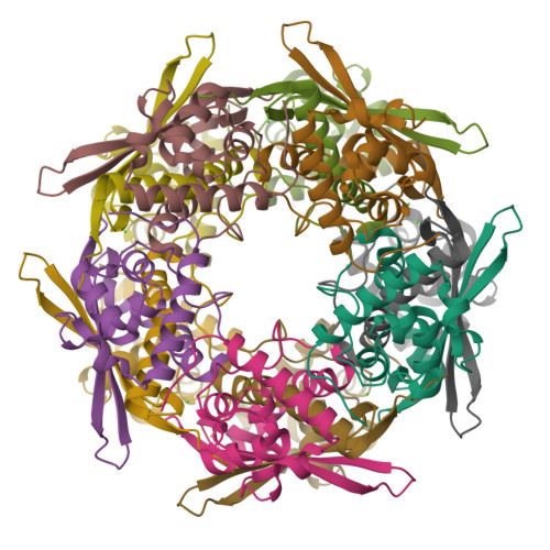 RCSB PDB - 8C7E: Serendipitous cyanase structure from Serratia-like ...