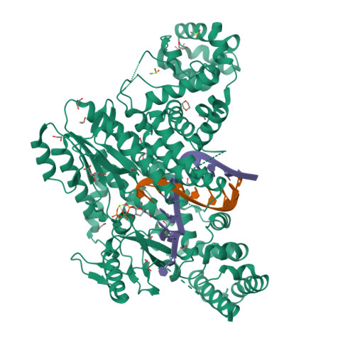 RCSB PDB - 8C8J: Long Interspersed Nuclear Element 1 (LINE-1) reverse ...