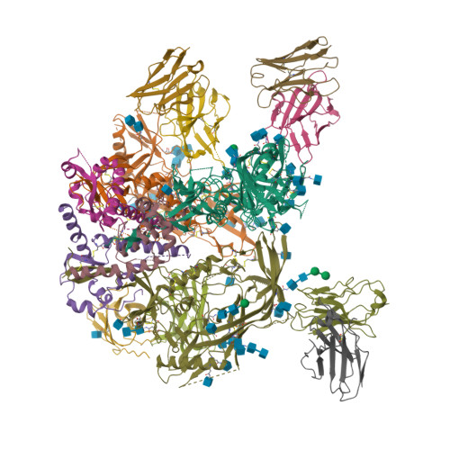 RCSB PDB - 8C8T: cryo-EM structure of BG505 SOSIP.664 HIV-1 Env trimer ...