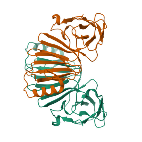 RCSB PDB - 8C9K: Structure of Mpox virus poxin