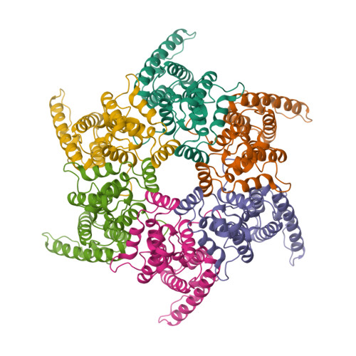 RCSB PDB - 8C9M: HERV-K Gag immature lattice