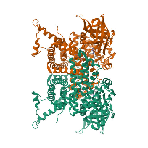 RCSB PDB - 8CA1: Cryo-EM structure of the ACADVL dimer from Mus musculus.