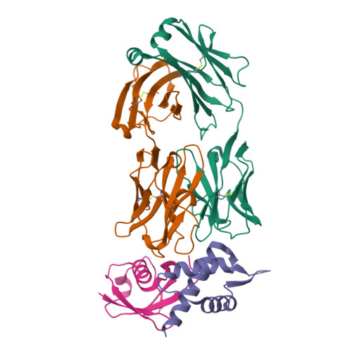 RCSB PDB - 8CAF: N8C_Fab3b in complex with NEDD8-CUL1(WHB)