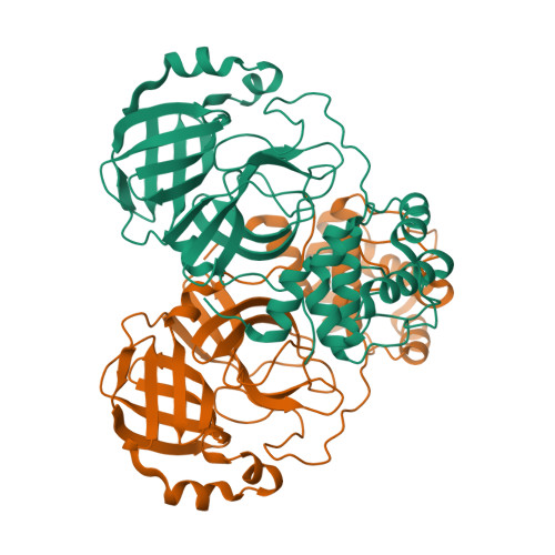 RCSB PDB - 8CDC: Native 3CLpro from SARS-CoV-2 at 1.54 A