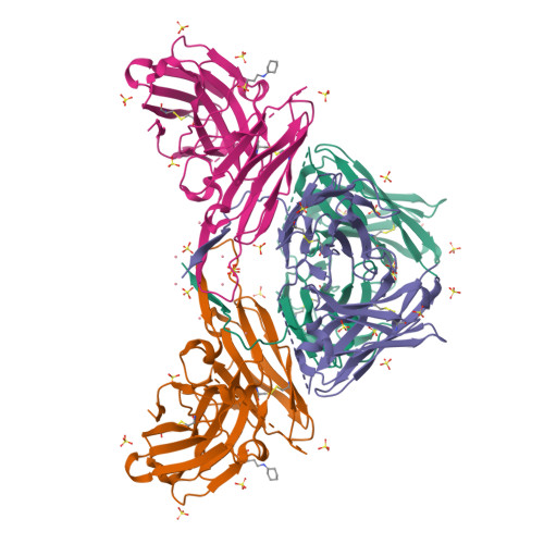 RCSB PDB - 8CGE: The crystal structure of a cobalt-bound scFv reveals a ...