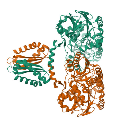 RCSB PDB - 8CGL: Cryo-EM structure of RNase J from Helicobacter pylori