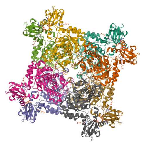 RCSB PDB - 8CGY: Trypanosoma brucei IMP dehydrogenase (ori ...