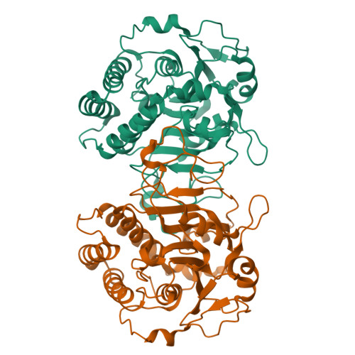 RCSB PDB - 8CID: Crystal structure of Oryza sativa UAM 2