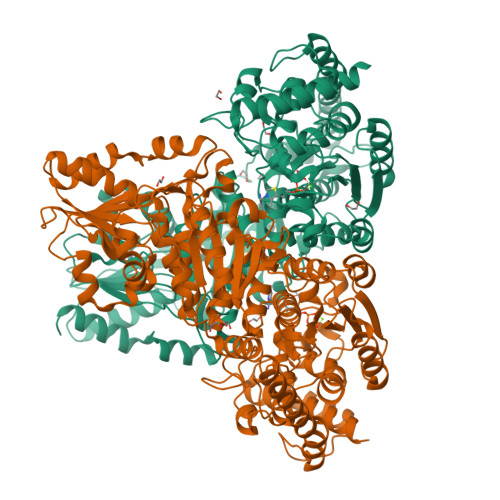 RCSB PDB - 8CIP: Crystal structure of transketolase from Geobacillus ...