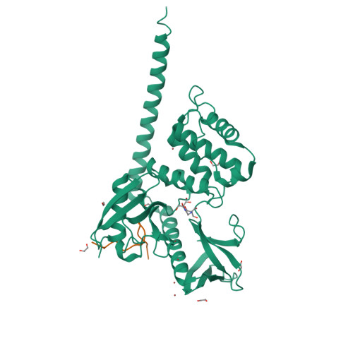 RCSB PDB - 8CIR: The FERM domain of human moesin with a bound peptide ...