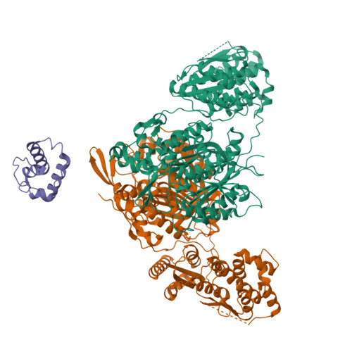 RCSB PDB - 8CJH: Architecture of a PKS-NRPS hybrid megaenzyme involved ...