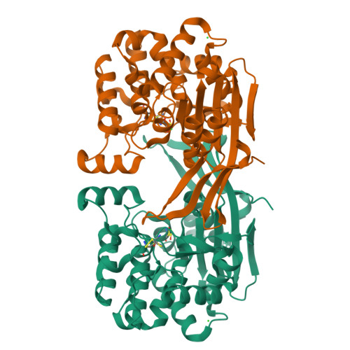 RCSB PDB - 8CLZ: Crystal structure of Rhizobium etli constitutive L ...