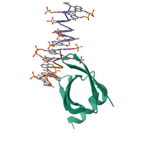 RCSB PDB - 8CMN: 18mer DNA mimic Foldamer with an aliphatic linker in ...
