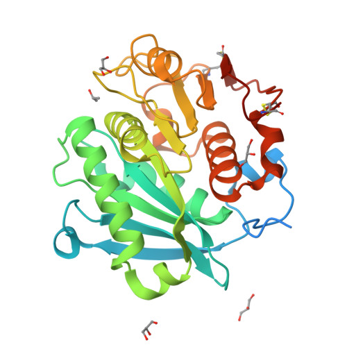 RCSB PDB - 8CMV: Engineered PETase enzyme from LCC - C09 mutant