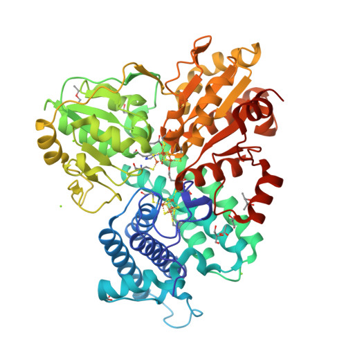 RCSB PDB - 8CNR: Hybrid Cluster Protein from the thermophilic ...