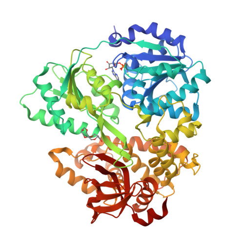 RCSB PDB - 8CNT: Structure of the DEAH-box helicase Prp16 in complex ...