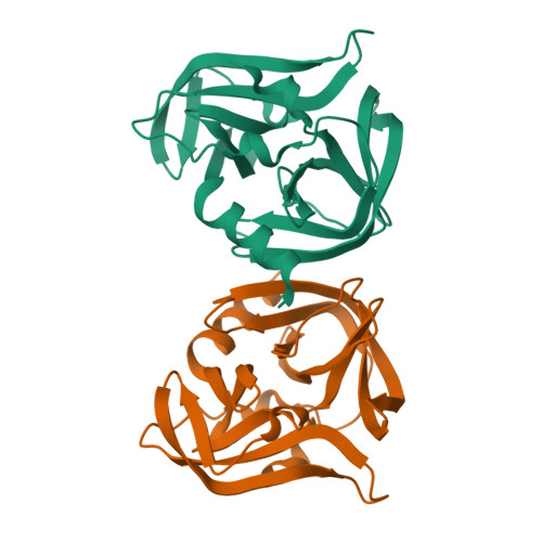 RCSB PDB - 8CNX: Structure of Enterovirus D68 3C protease