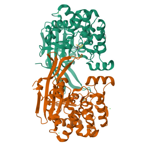RCSB PDB - 8COL: Crystal structure of Rhizobium etli constitutive L ...