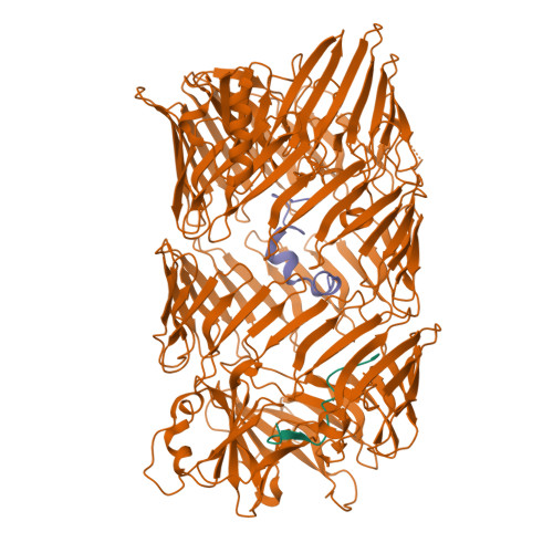 RCSB PDB - 8CP6: Type six secretion system exported effector 5 (Tse5)