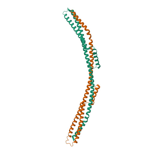 RCSB PDB - 8CQN: Crystal structure of Borrelia burgdorferi paralogous ...