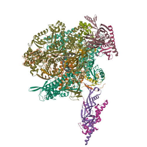 RCSB PDB - 8CRO: Cryo-EM structure of Pyrococcus furiosus transcription ...