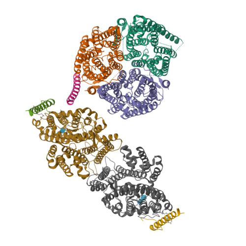 Rhesus Transmembrane Protein Complex