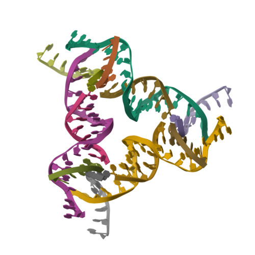 RCSB PDB - 8CS4: [AGC/GTC] Self-Assembled 3D DNA Hexagonal Tensegrity ...