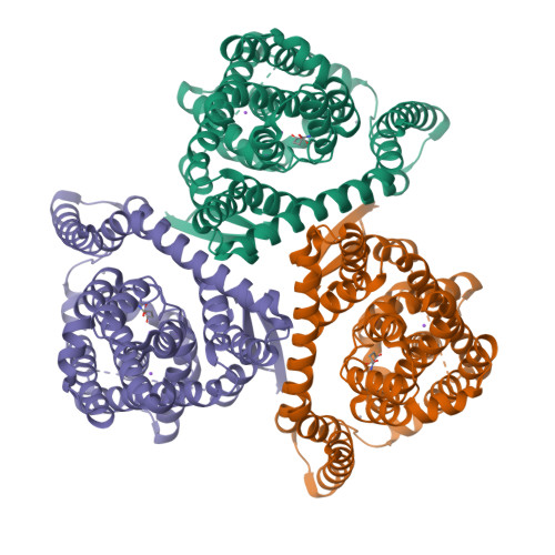 RCSB PDB - 8CTC: Human excitatory amino acid transporter 3 (EAAT3) with ...