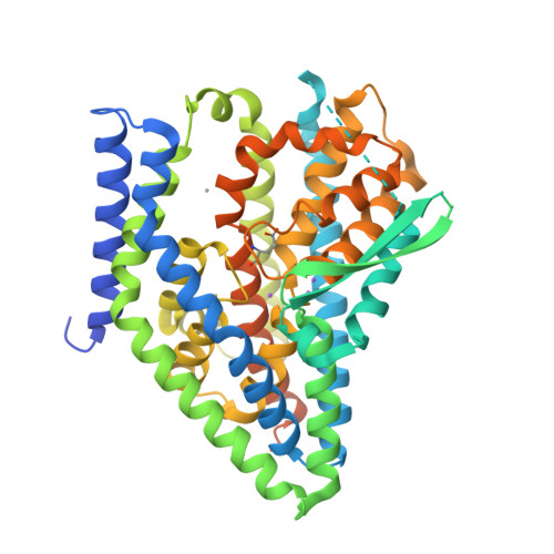 RCSB PDB - 8CTD: Human excitatory amino acid transporter 3 (EAAT3 ...