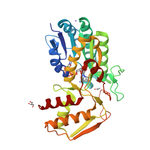 RCSB PDB - 8CTR: Crystal Structure of dTDP-4-dehydrorhamnose reductase ...