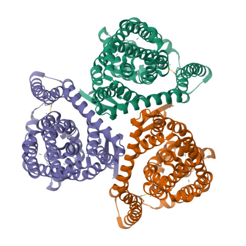 RCSB PDB - 8CUA: Human excitatory amino acid transporter 3 (EAAT3) with ...