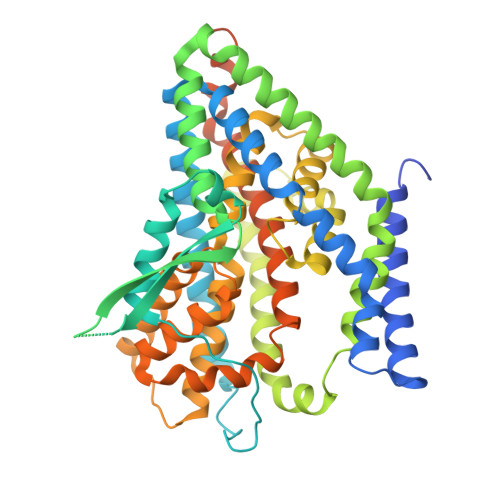RCSB PDB - 8CUD: Human excitatory amino acid transporter 3 (EAAT3 ...