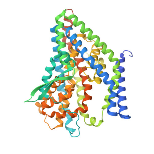 RCSB PDB - 8CUJ: Human excitatory amino acid transporter 3 (EAAT3 ...