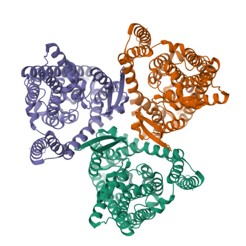 RCSB PDB - 8CV2: Human excitatory amino acid transporter 3 (EAAT3) in ...
