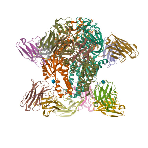 RCSB PDB - 8CW9: Prefusion-stabilized hMPV fusion protein bound to ADI ...