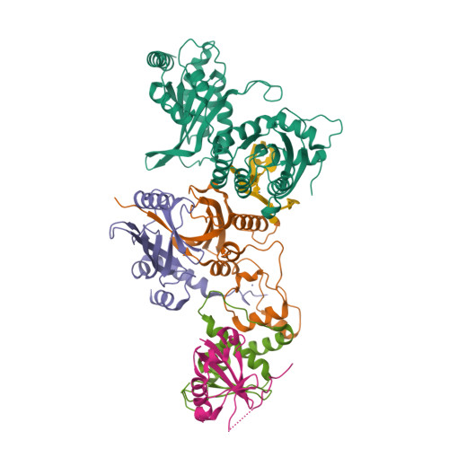 RCSB PDB - 8CX0: Cryo-EM structure of human APOBEC3G/HIV-1 Vif/CBFbeta ...