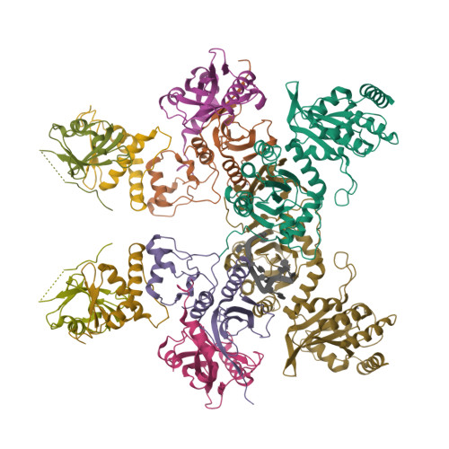 RCSB PDB - 8CX1: Cryo-EM structure of human APOBEC3G/HIV-1 Vif/CBFbeta ...