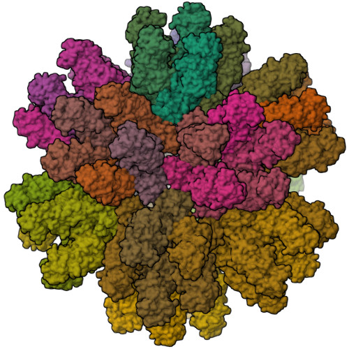 RCSB PDB - 8CYG: Cryo-EM structure of TTMV-LY1 anellovirus virus-like ...