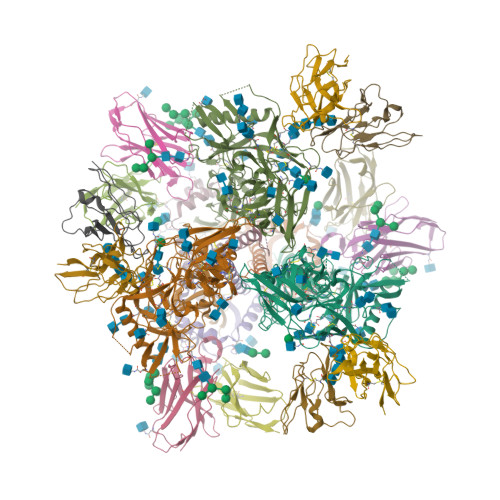 RCSB PDB - 8CZZ: Cryo-EM structure of T/F100 SOSIP.664 HIV-1 Env trimer ...